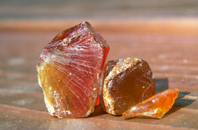 Copal Plant Profile - Ancient Incense & Mystical Medicine – The ...