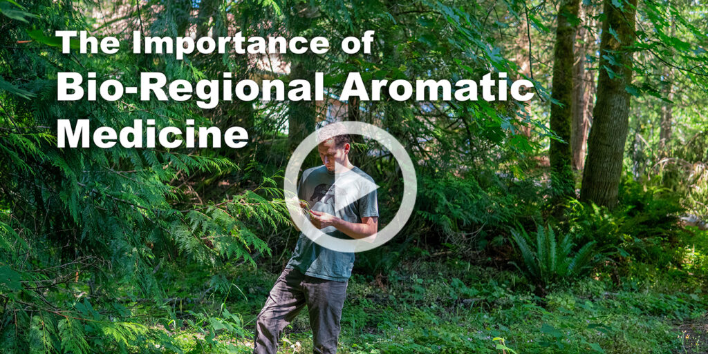 Human/Plant Connection – The Northwest School of Aromatic Medicine