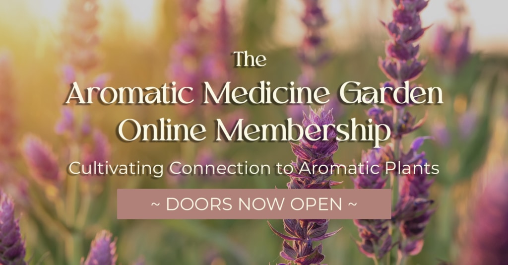 Learn Aromatic Medicine with Aromatherapy Classes Online