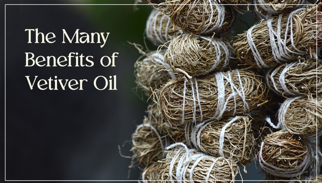 Vetiver Essential Oil Benefits and Versatility – The Northwest School ...