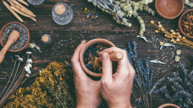Copal Plant Profile - Ancient Incense & Mystical Medicine – The ...